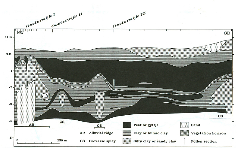 Leerdam (C Netherlands) – pimdeklerk-palynology.eu