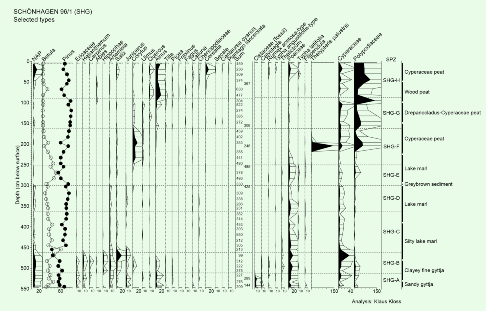 Blankensee (E Germany) – pimdeklerk-palynology.eu