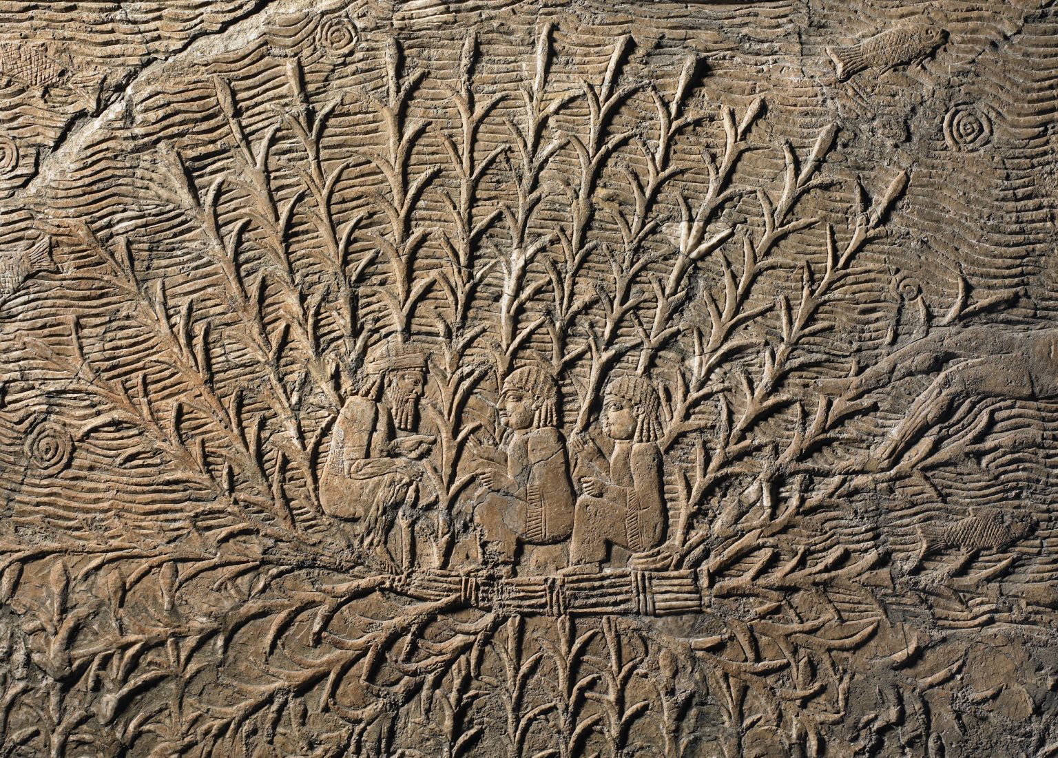 Ancient cultures and wetlands – pimdeklerk-palynology.eu
